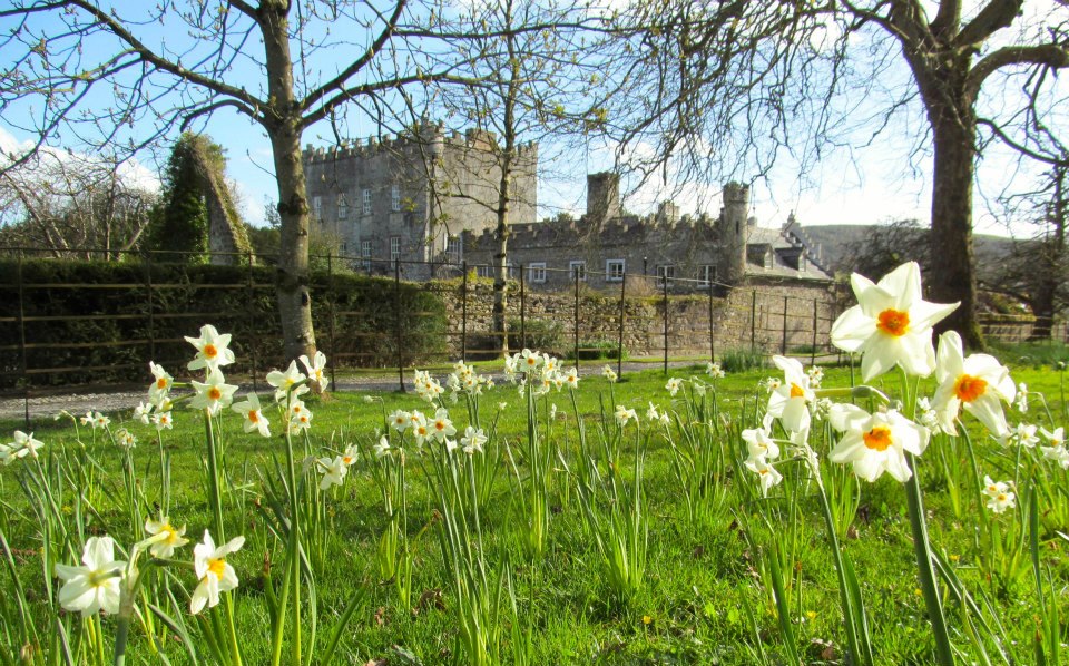 Huntington Castle|Castle of Ireland