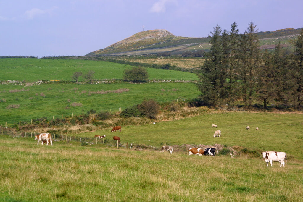 Hacketstown - Carlow Tourism
