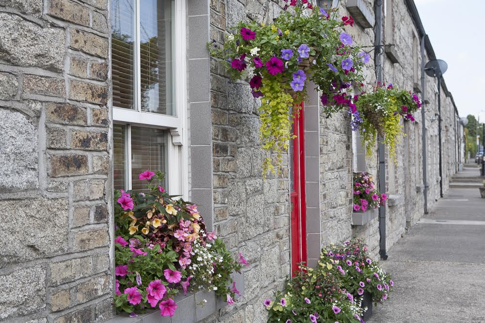 Rathvilly - Carlow Tourism