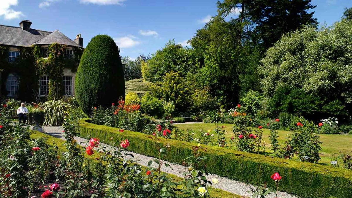 10 Top things to do in Carlow Town | Discover Carlow