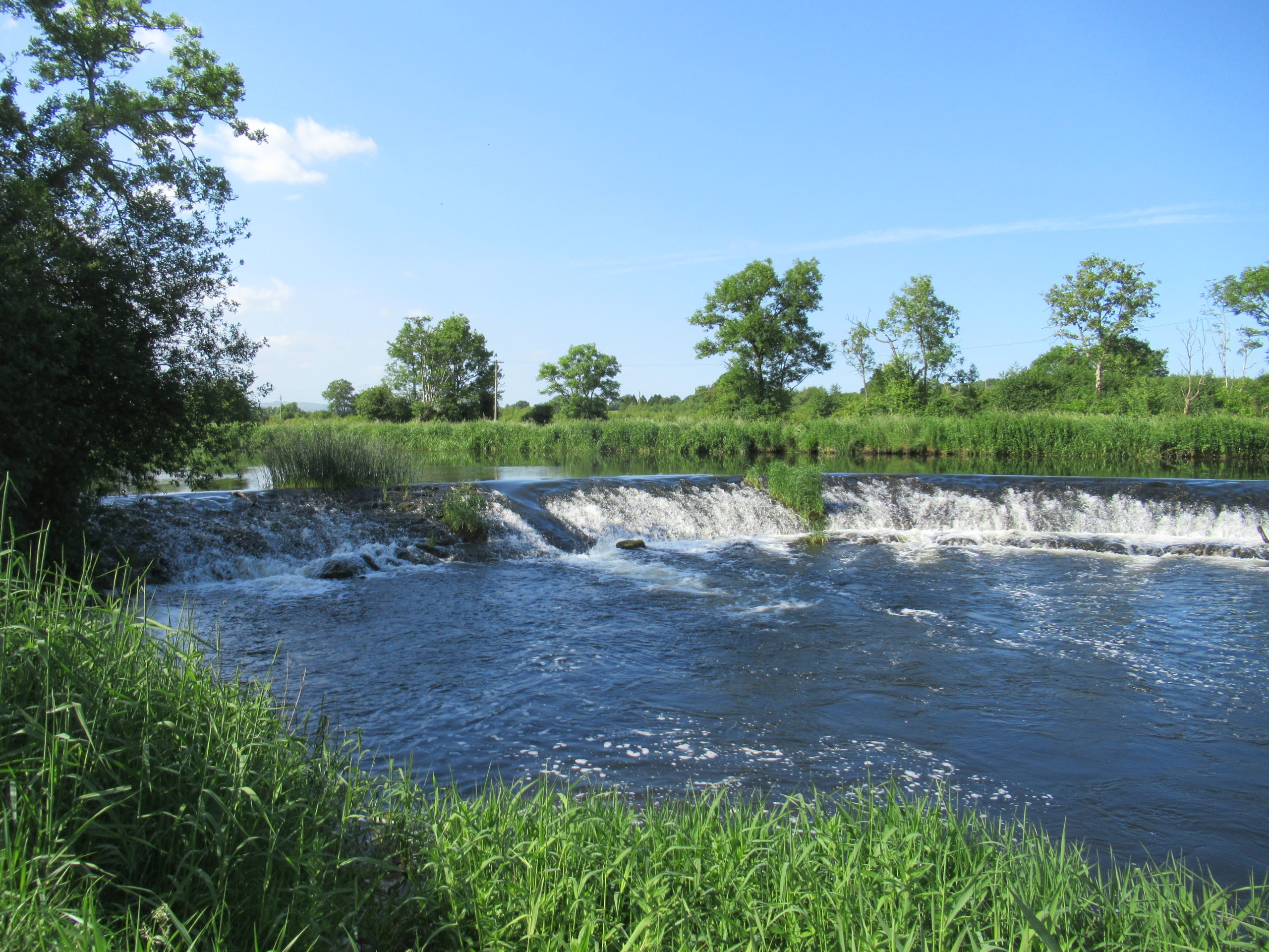 Ballyellen - Carlow Tourism